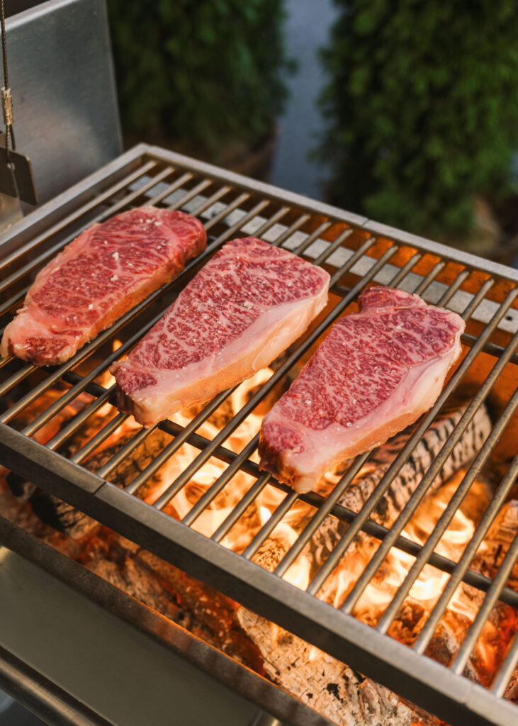 Wagyu vs. Angus. What's the Difference? | Bella Cattle